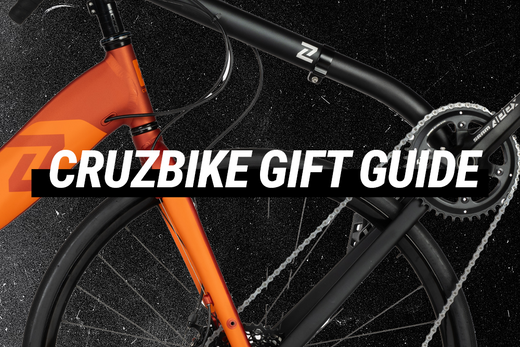 Top Gifts for Cruzbike Recumbent Road Bike Owners: 2024-2025